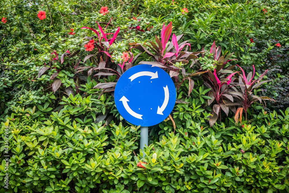 Roundabout road sign in shrub plant. It is in mandatory signs group ...