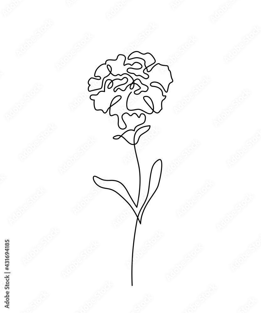 Carnation flower vector illustration in simple minimal continuous ...