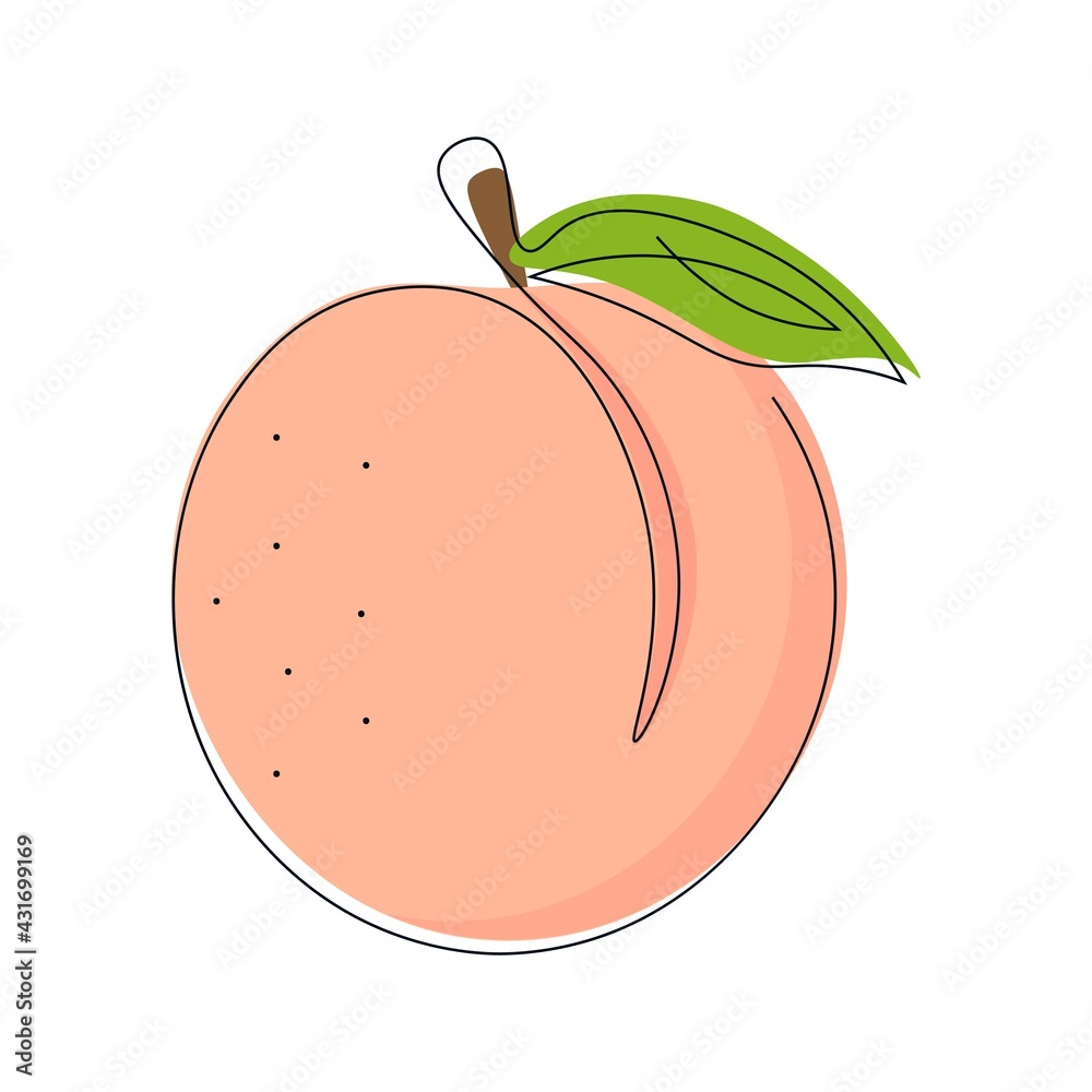 Continuous single line drawing of peach with color. One line drawing of ...