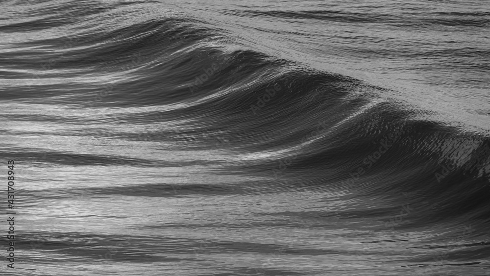 B&W of ocean wave just before it breaks Stock-Foto | Adobe Stock