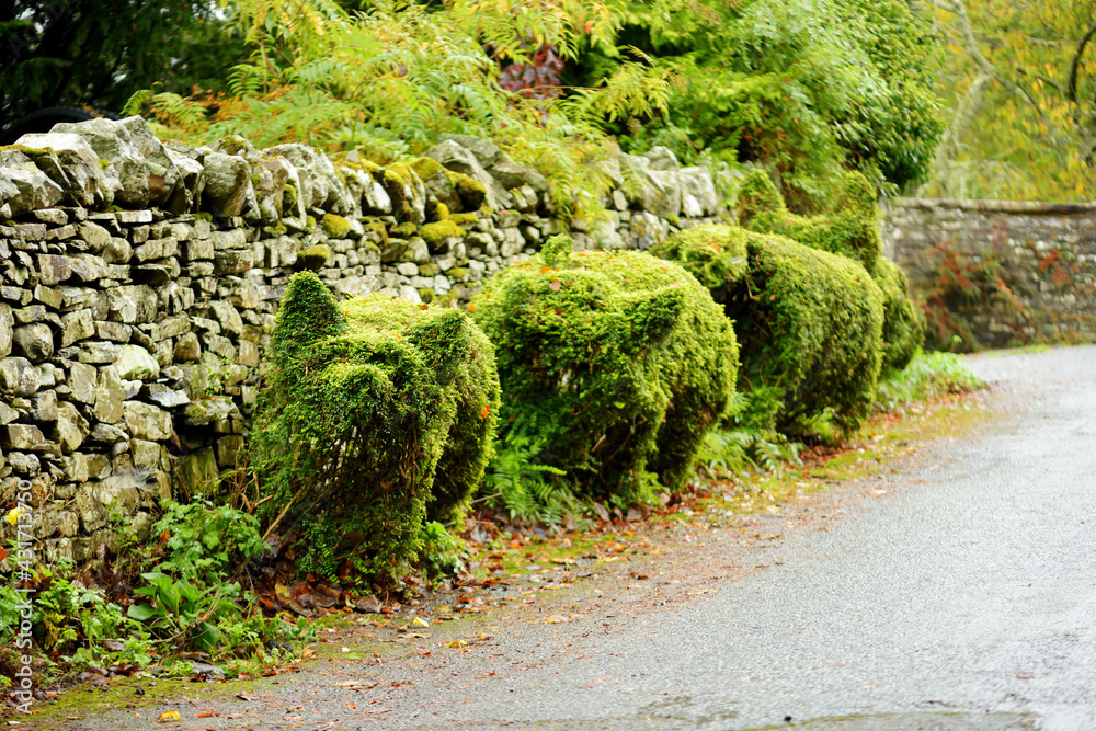Shrubs pruned into shapes of three pigs. Sculpted plants by the side of ...