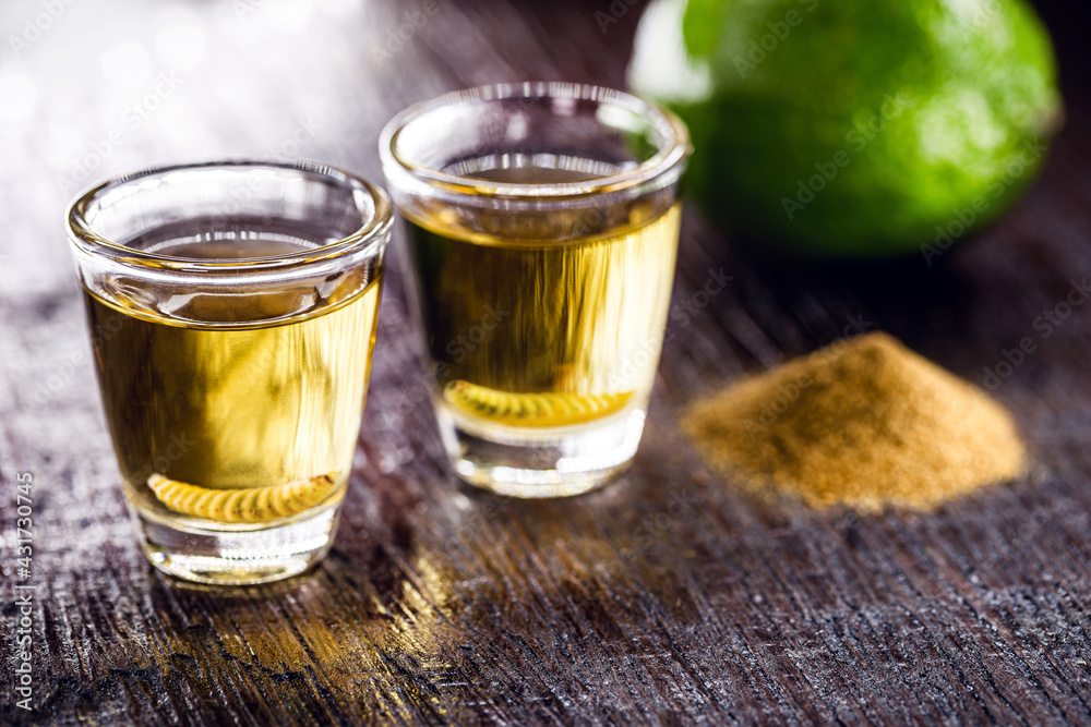 exotic Mexican drink called Mezcal, with pepper salt and earthworm ...