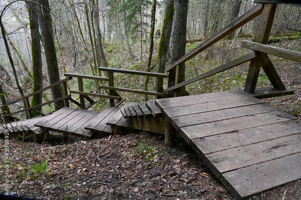 Nature trails wooden stairs in the woods leading down from the hill in ...