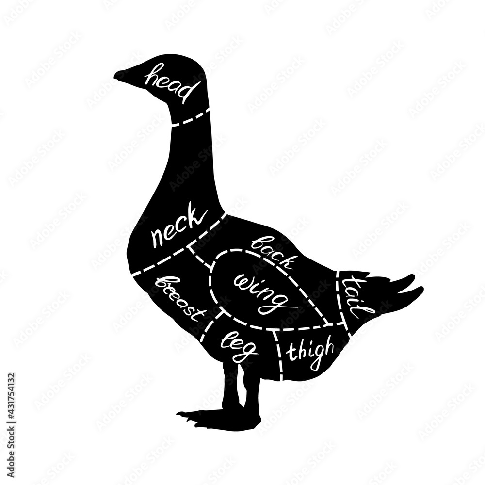 Butcher shop diagram of goose meat parts. Black silhouette of goose ...