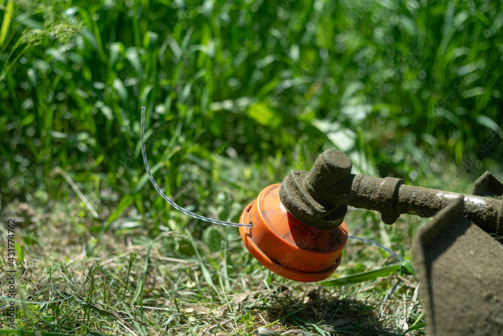 manual lawn mower on the background of green grass, cut grass in not ...