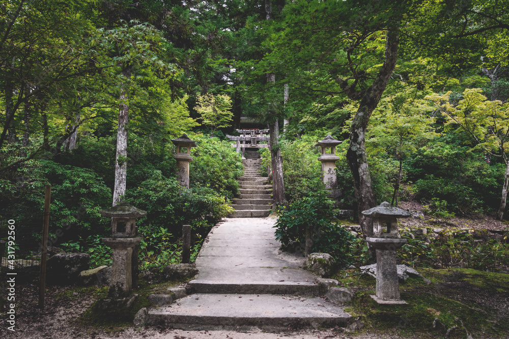 Path in park to small torii gate on Mount Misen in Miyajima, Hiroshima ...