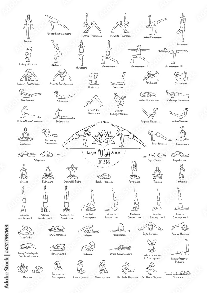 Tableau Des Postures Et Des Noms De Yoga Les Secrets De La Posture Du