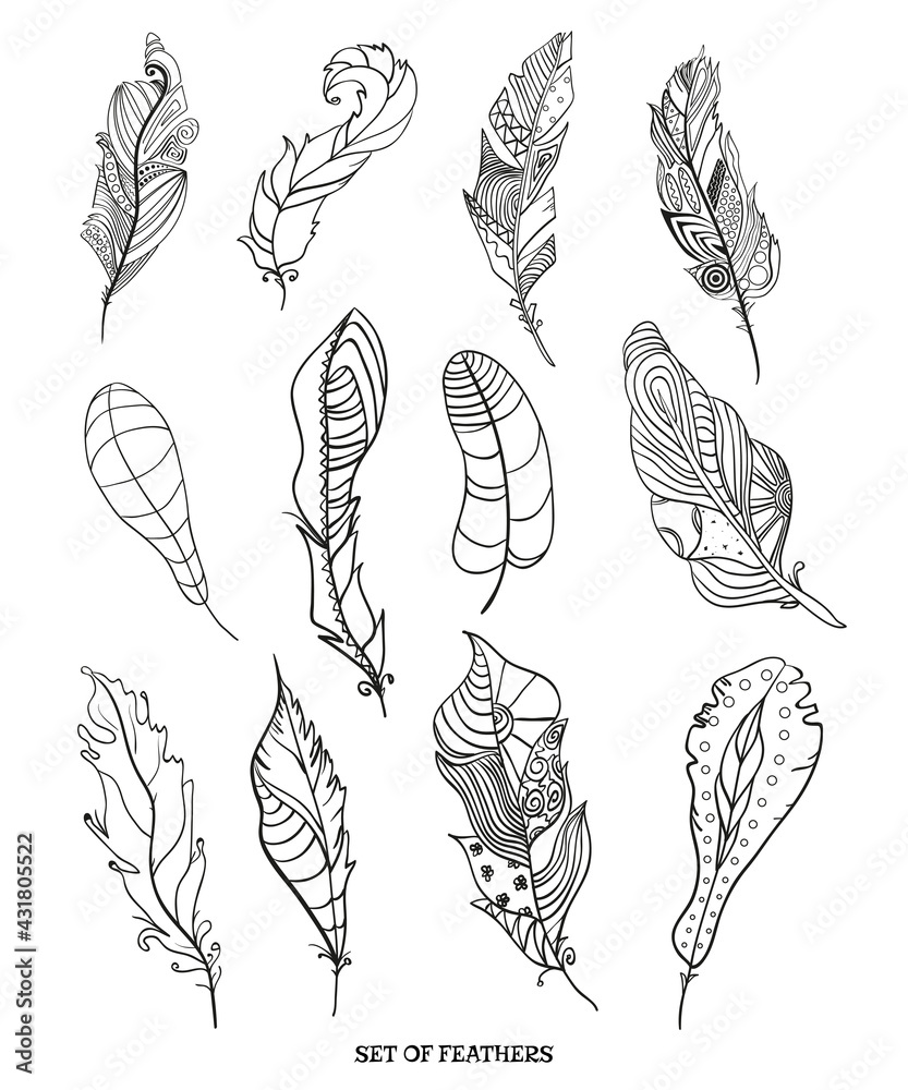 Abstract Feather Drawings