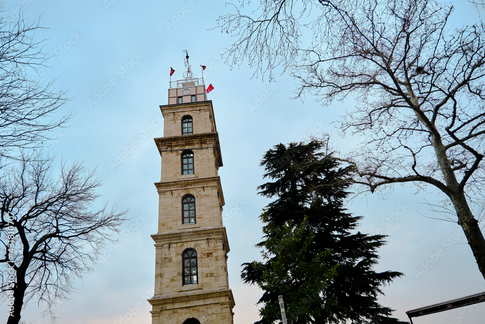 Bursa old watchtower in Tophane district behind the withered plant and ...