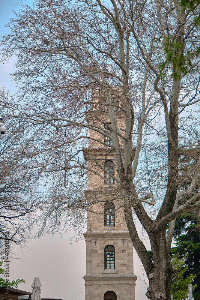 Bursa old watchtower in Tophane district behind the withered plant and ...