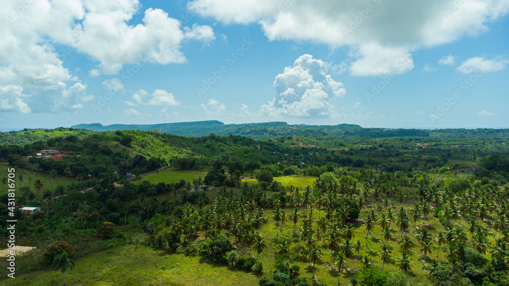 Hermosa foto aérea de palmeras con una montaña de fondo Stock Photo ...