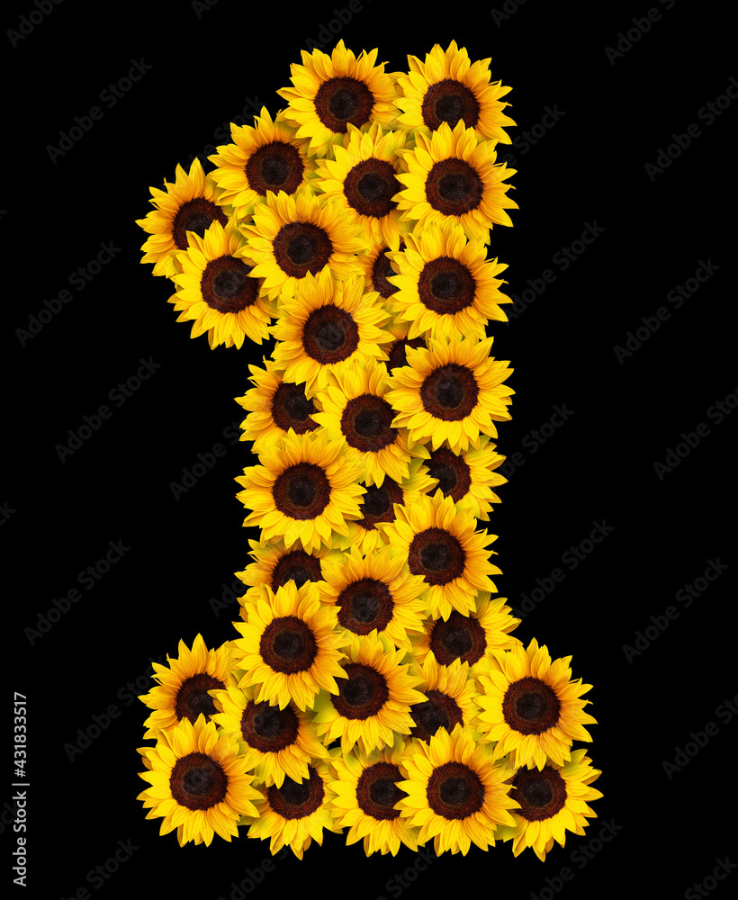 image of number 1 made of yellow sunflowers flowers isolated on black ...