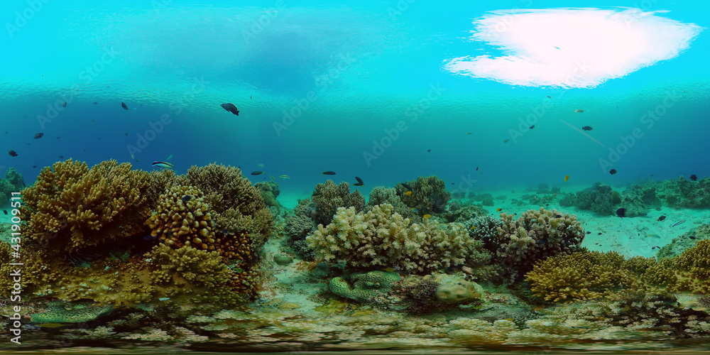 Underwater Scene Coral Reef. Underwater sea fish. Tropical reef marine ...