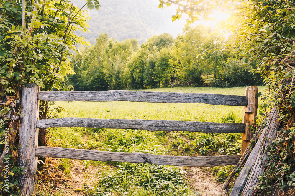 A path in the mountains covered with forests and meadows with wooden ...