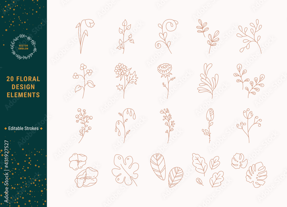Floral thin line vector illustrations clip art. Minimal style linear ...