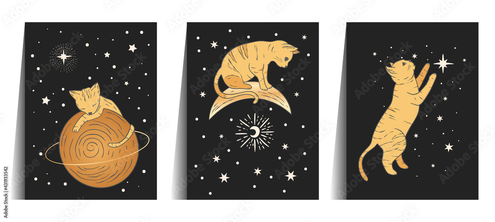 Celestial cat animal sacred astrology card set. Boho esoteric golden ...