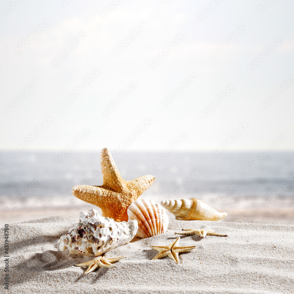 Shell on sand and summer landscape of sea Stock Photo | Adobe Stock