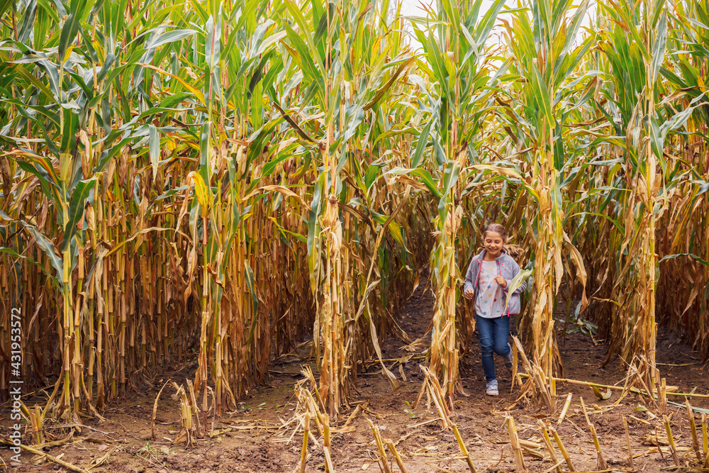 Smiling girl playing while running at corn field Stock Photo | Adobe Stock