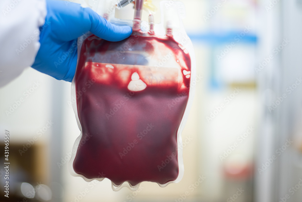 Blood bag in blood bank laboratory. Stock Photo | Adobe Stock