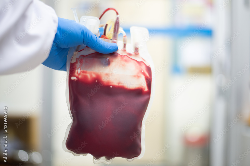 Blood bag in blood bank laboratory. Stock Photo | Adobe Stock