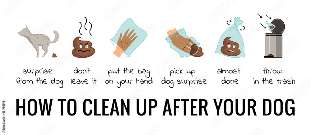 Dog poo clean up steps infographic set. poster about hygiene animal ...