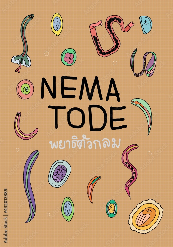 nematode Stock Illustration | Adobe Stock