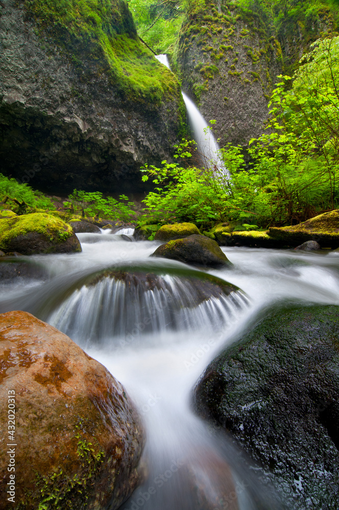 Columbia River Gorge National Scenic Area in spring, Oregon, USA Stock ...