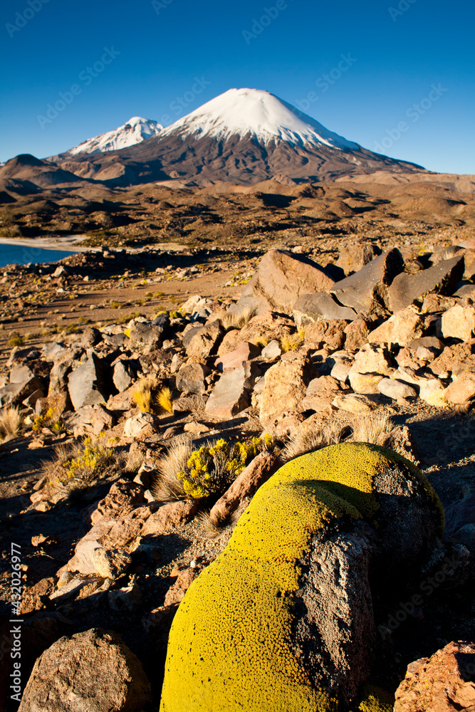 The twin volcanoes of Pomerape (L) in Bolivia's Sajama Nat Park and ...