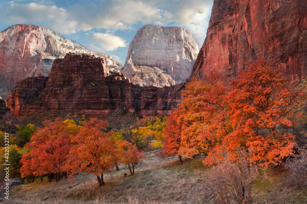 Fall color in Zion National Park, Utah Stock Photo | Adobe Stock