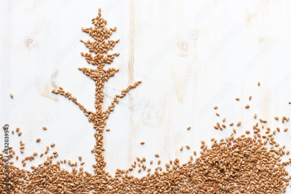 wheat grain shaped as sheaf on white wood background with copy space ...