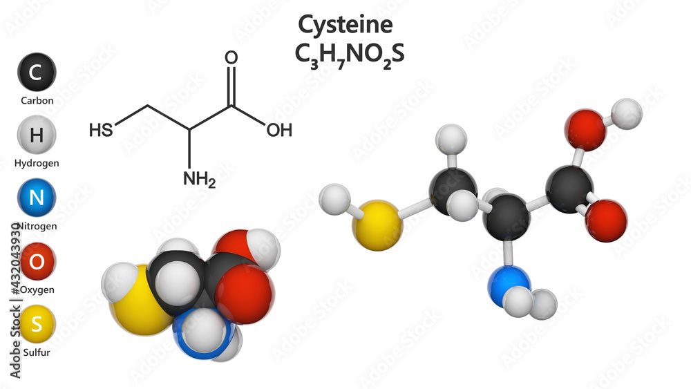Cysteine (symbol Cys or C) is a semiessential proteinogenic amino acid ...
