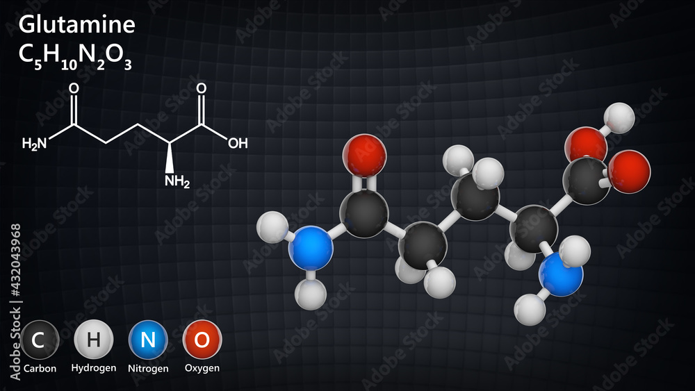 Glutamine (symbol Gln or Q) is an amino acid that is used in the ...