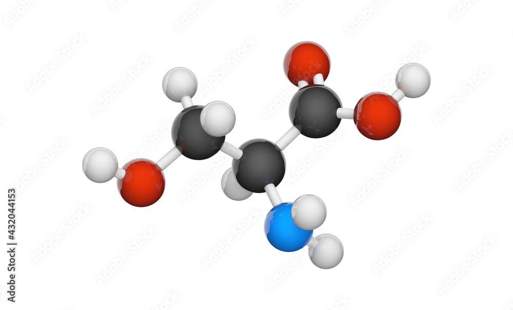Serine (symbol Ser or S)is an amino acid that is used in the ...