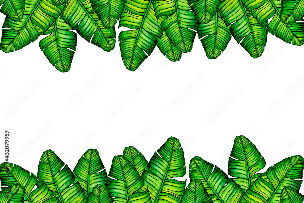Watercolor banana leaf border. Tropical frame copyspace design template ...