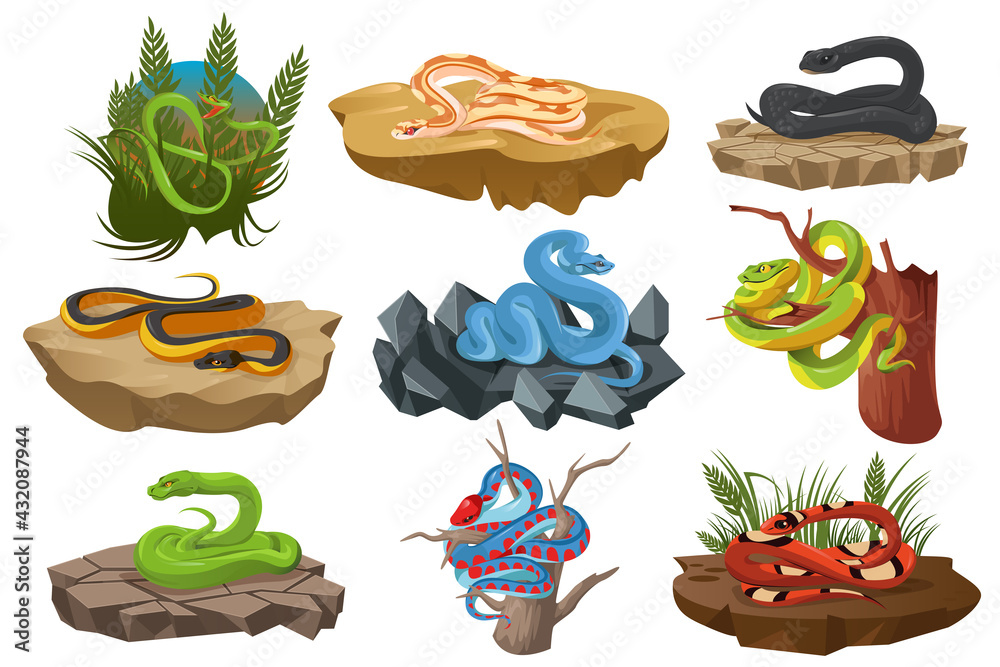 Snakes, tropical serpents on tree, ground and stones. Black mamba ...