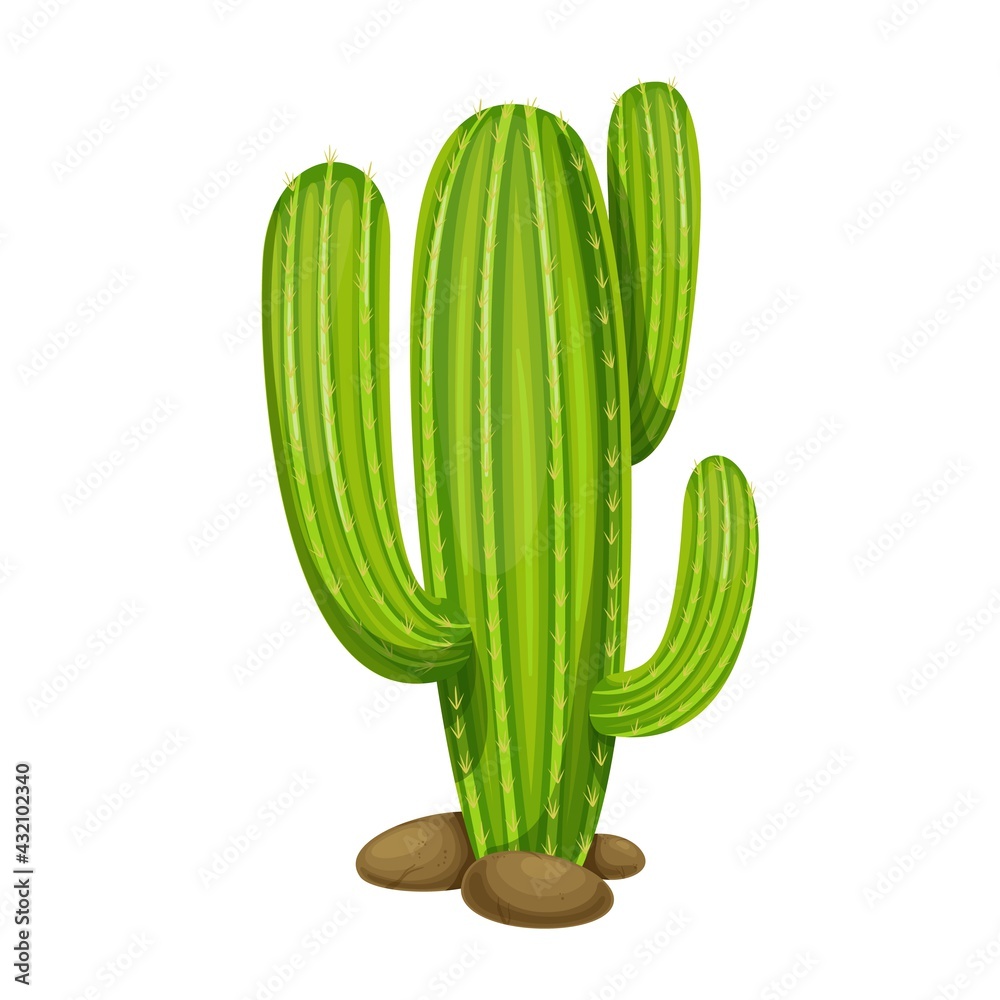 Mexican cactus vector illustration, nopal icon in cartoon style. Stock ...