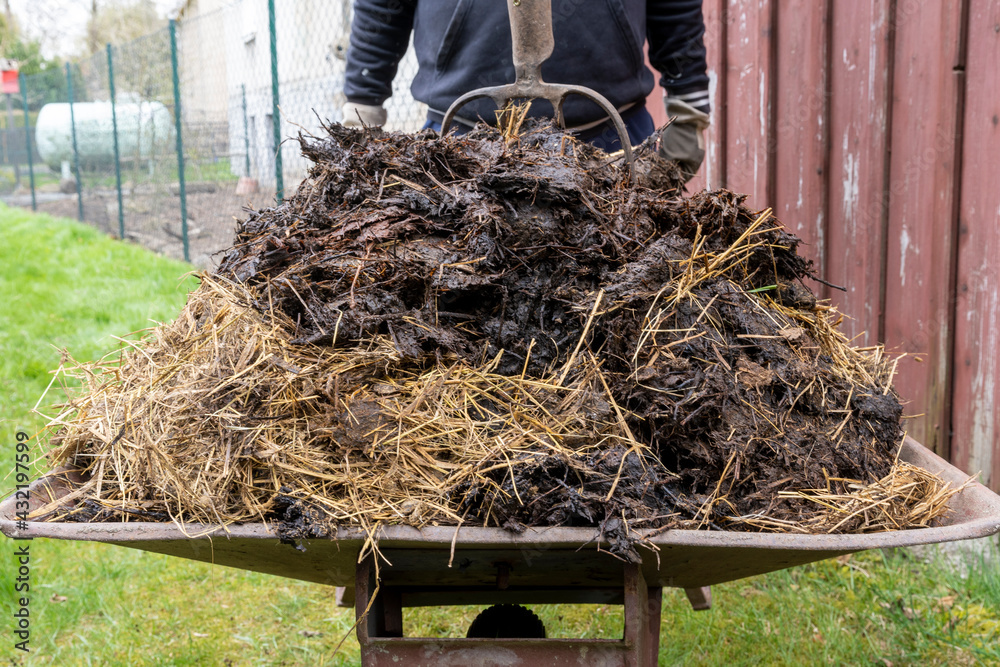 Farm fresh well rotted manure. Great organic fertilizer. Here with ...