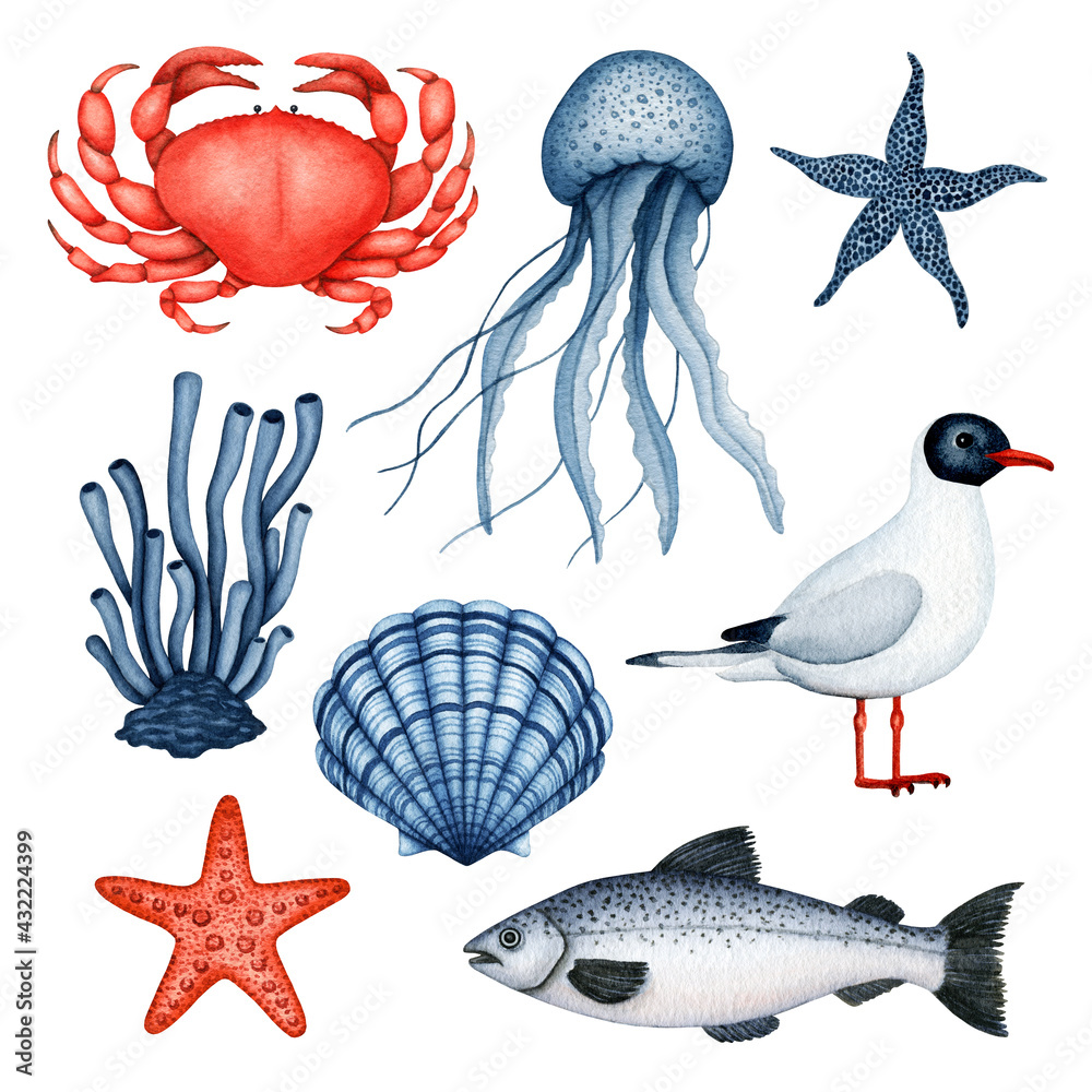 Watercolor underwater wild animal set. Jellyfish, Crab, Starfish, Polyp ...