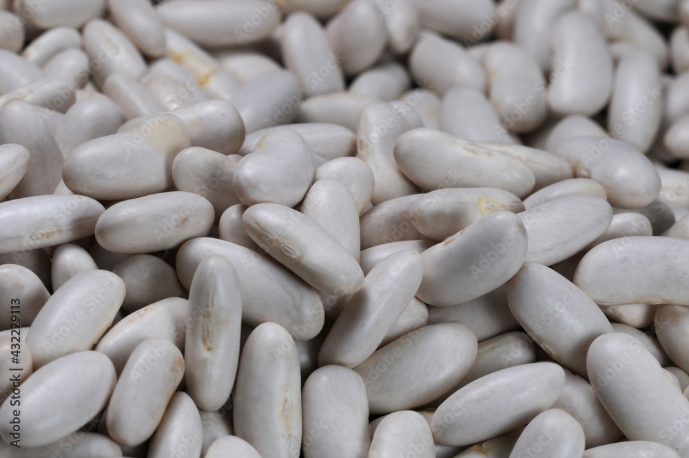 Grãos de feijão branco. white beans grains foto de Stock | Adobe Stock