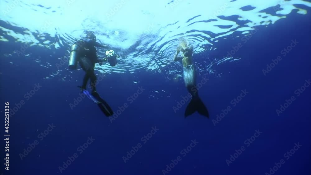 Young woman mermaid poses for camera of cameraman underwater in sea ...