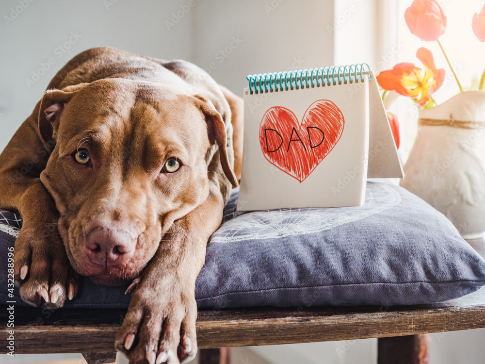 Painted Heart Dad Images