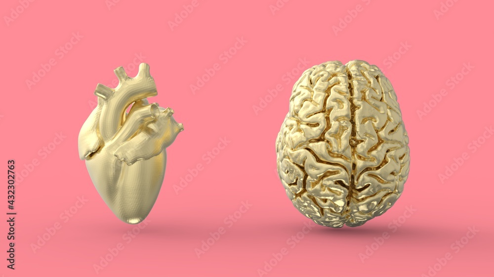 Golden anatomic human brain and heart isolated on pink background 3d ...