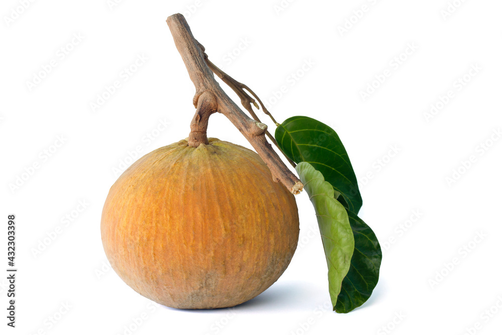 Ripe Santol or Sentul fruit (Sandoricum koetjape) with leaf isolated on ...