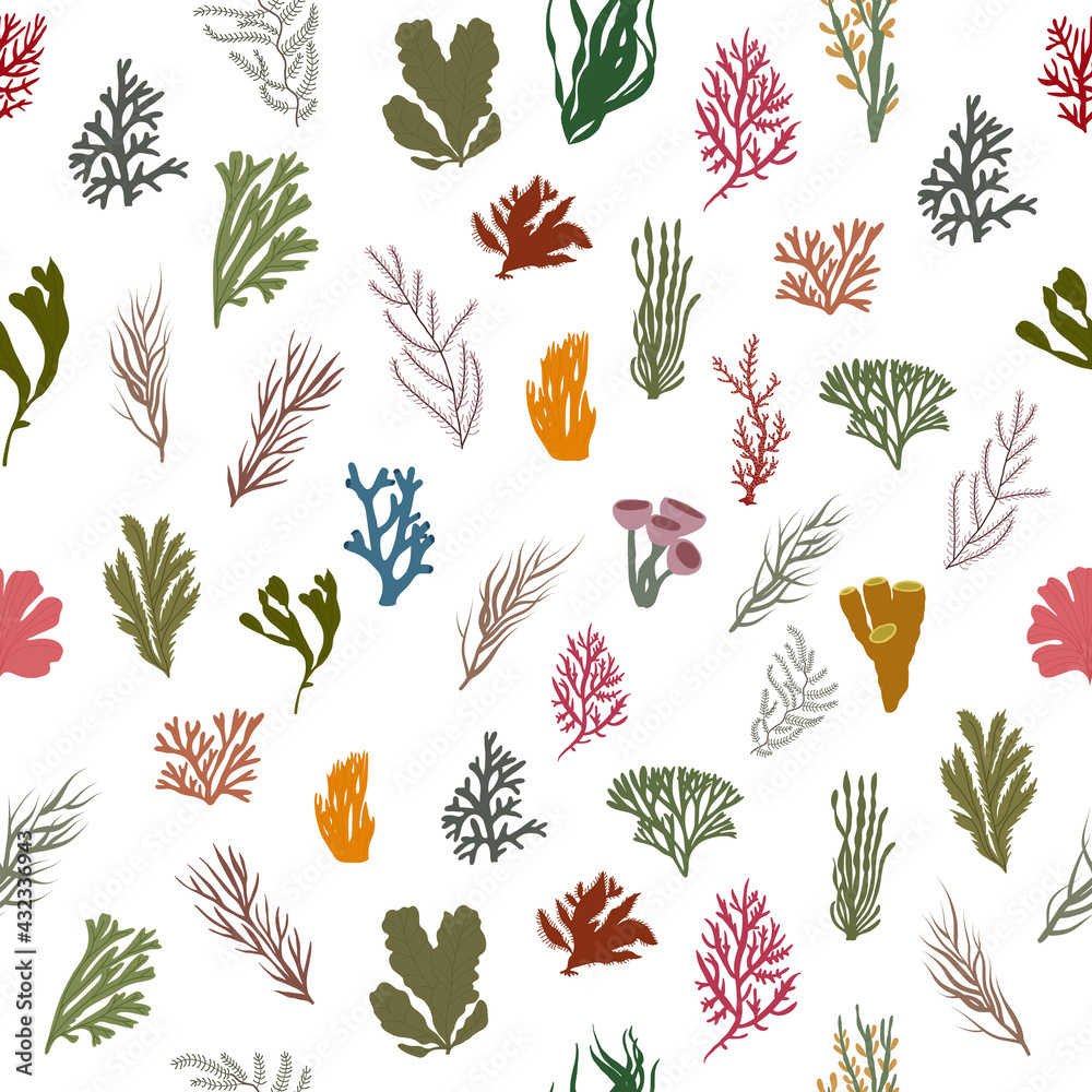 Seamless pattern with seaweed and corals. Backgrounds and wallpapers ...