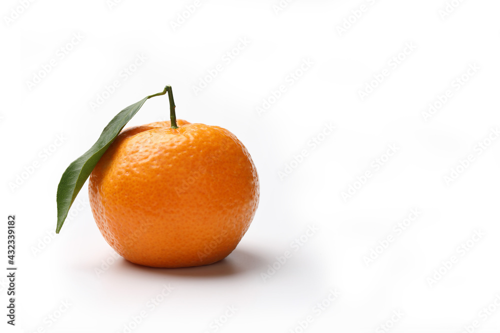 Citrus Fruit High Resolution