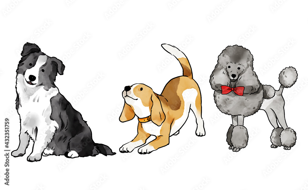 dogs playing Stock Vector | Adobe Stock