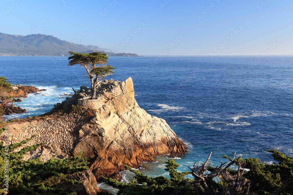 MONTEREY, CALIFORNIA - APRIL 7, 2014: Lone Cypress tree view along ...