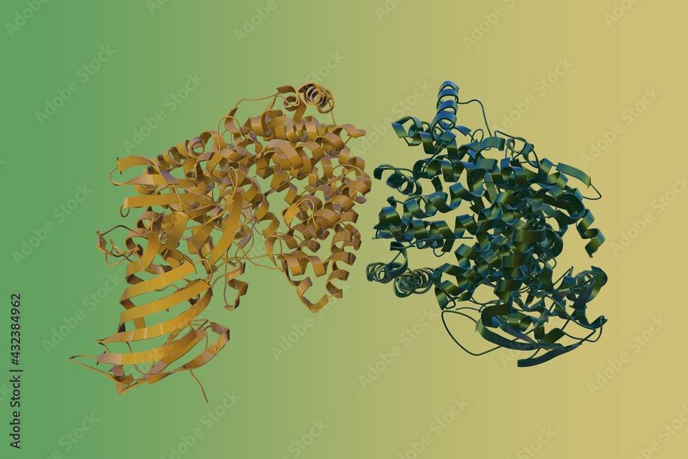 Crystal structure of human insulin regulated aminopeptidase with lysine ...