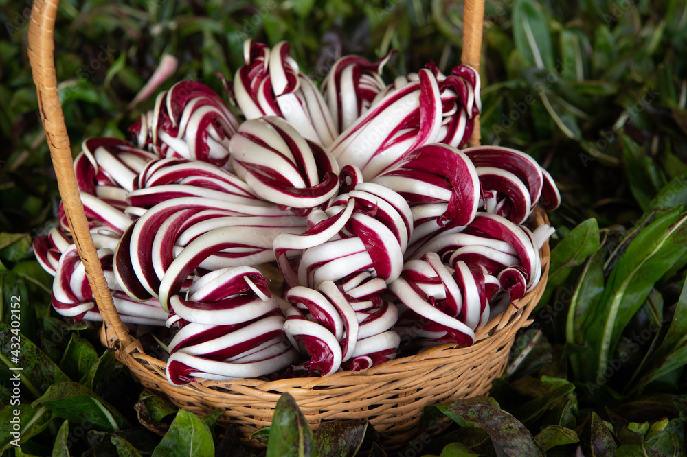 Treviso red radicchio is an Italian fruit and vegetable product with ...