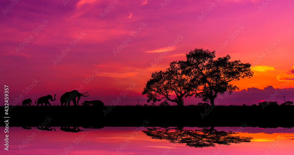 African Safari Sunset Wallpaper